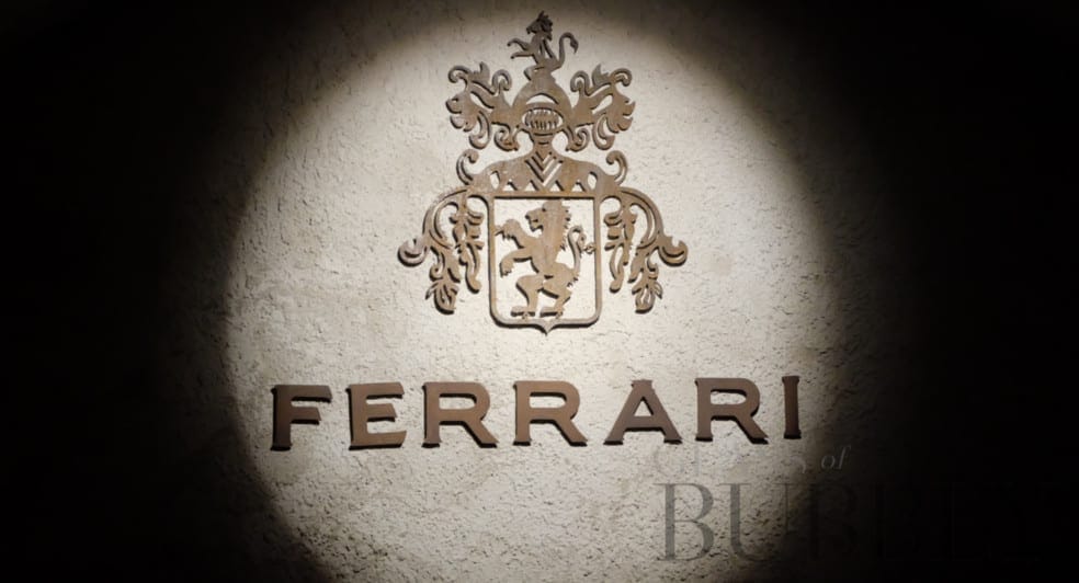 Ferrari Vini Logo Vision Nissan Webster | Nissan Dealer In Webster, NY